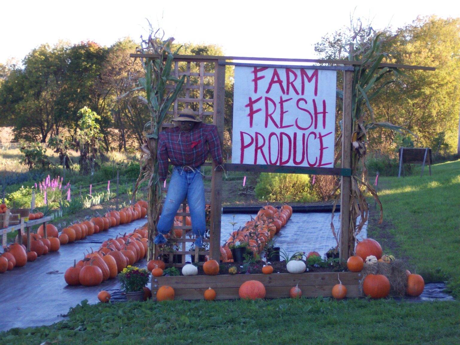 Rutland Town | Rutland Regional Planning Commission